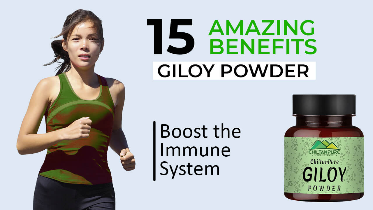 15 Amazing Benefits of Giloy - Boost the Immune System – ChiltanPure