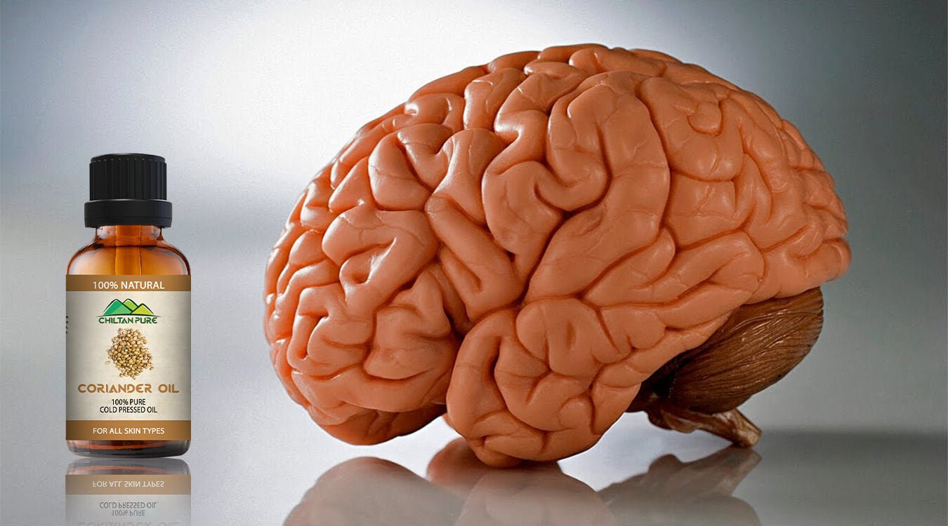 15 Unbelievable Benefits and Uses of Coriander Oil – ChiltanPure