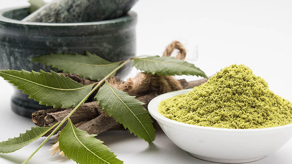 20 Surprising Neem Benefits for Skin, Hair & Health – ChiltanPure