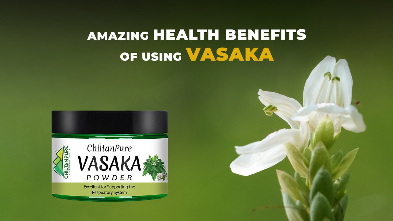 Amazing Health Benefits of Using Vasaka – ChiltanPure