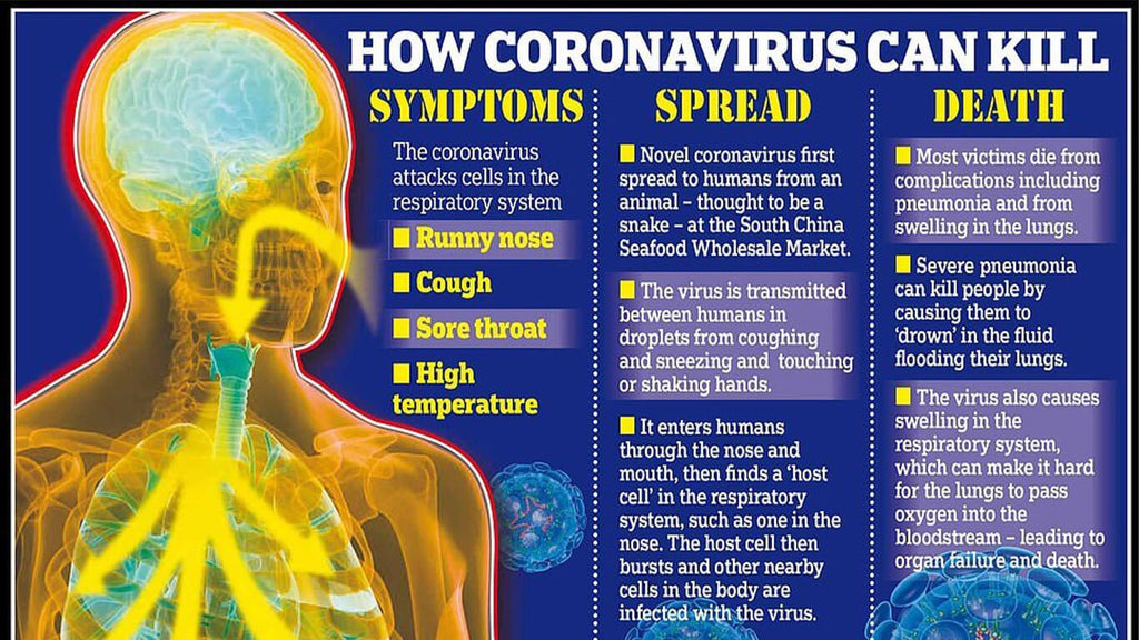Coronavirus Spread, Symptoms, Treatment – ChiltanPure