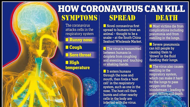 Coronavirus Spread, Symptoms, Treatment – ChiltanPure