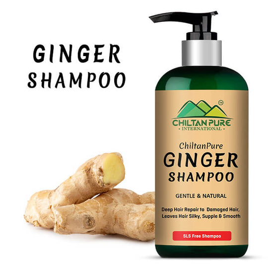 Buy Ginger Products at Best Price Online in Pakistan at ChiltanPure
