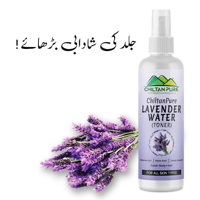 Lavender Floral Water – Best for Treating Acne, Relieve Itching & Irri ...