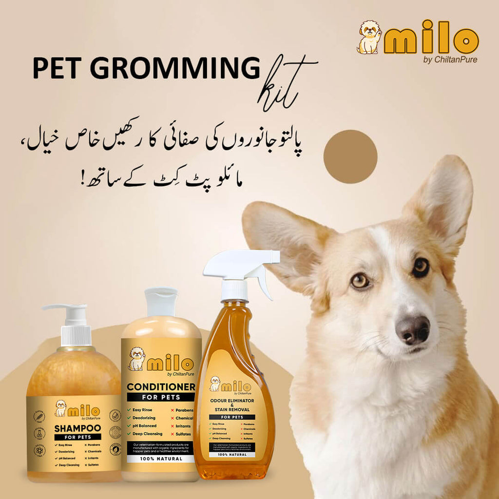 Buy Milo Pet Care Kit at Best Price in Pakistan - ChiltanPure