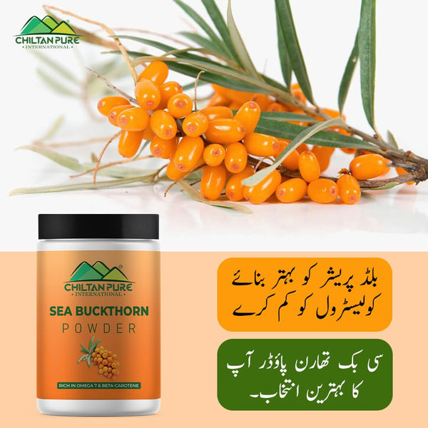 Buy Sea Buckthorn Powder at Best Price in Pakistan - ChiltanPure