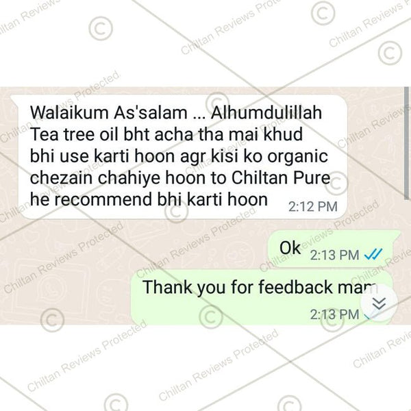 Buy Tea Tree Infused Oil at Best Price in Pakistan - ChiltanPure