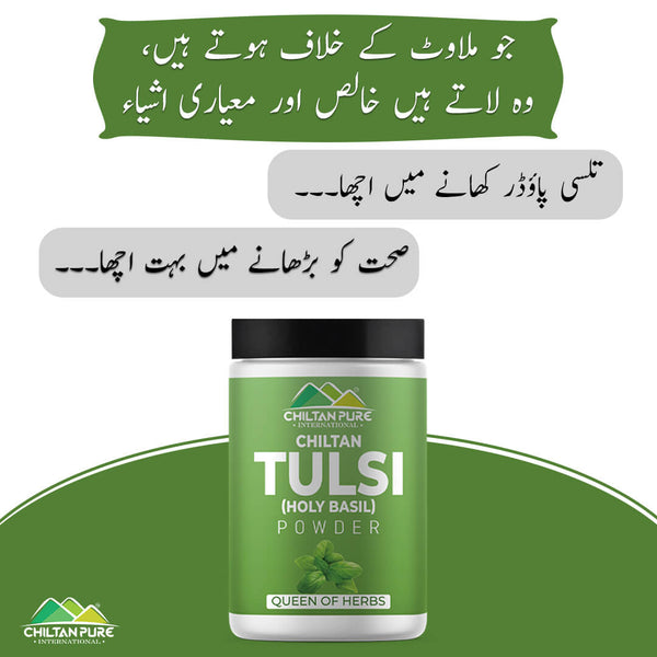 Buy Tulsi Powder at Best Price in Pakistan - ChiltanPure
